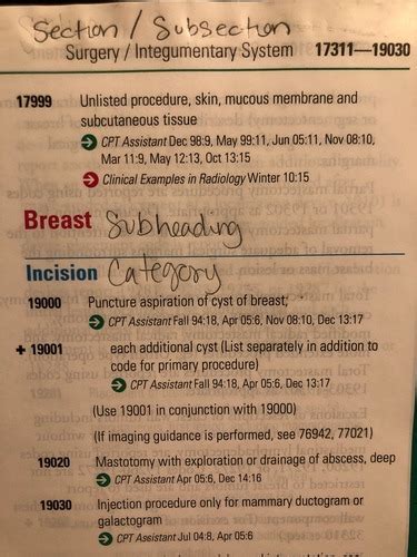 Chapters And Coding Test Flashcards Quizlet