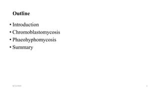 Chromoblastomycosis And Phaeohyphomycosis Pptx