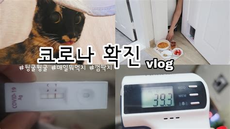 코로나 확진 후 자가격리 브이로그 매일매일 너무 잘먹어서 큰일🥲 발열 인후염 두통 코피 미각상실 등등 코로나 증상 및 후유증