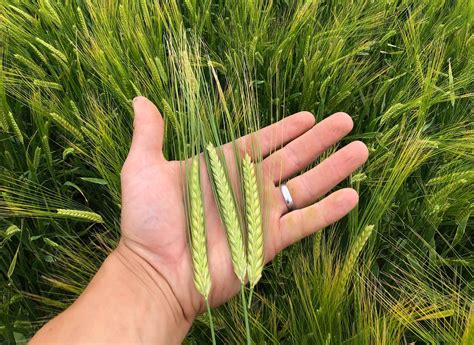 Crop Management Network Inc Solutions · Service · Sustainability