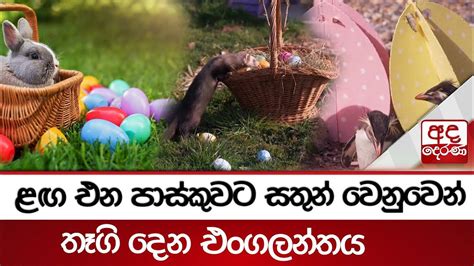 ළඟ එන පාස්කුවට සතුන් වෙනුවෙන් තෑගි දෙන එංගලන්තය Youtube