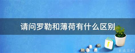 请问罗勒和薄荷有什么区别 业百科