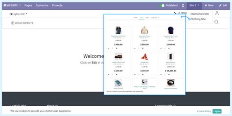 Odoo Multi Website Odoo Multi Portal WebKul