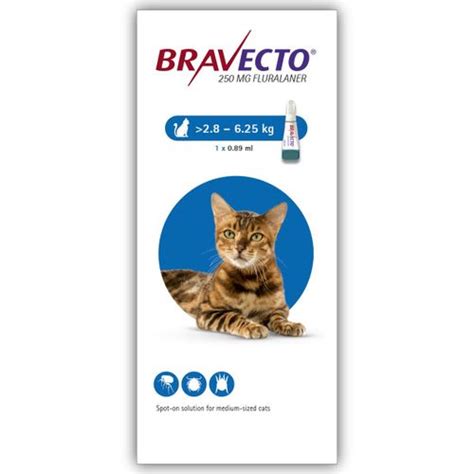 ברבקטו אמפולה לחתול 28 עד 625 קג תוקף 1227 Bravecto הדברה לחתולים
