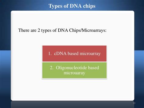 Dna Microarray Dna Chips
