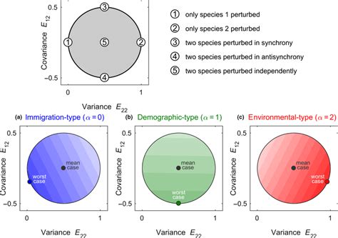 Variability Patterns For A Two‐species Community Top Panel For A