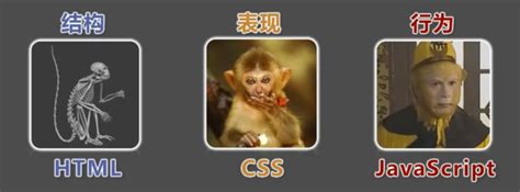 Css基础概念：什么是 Css Css 的组成 腾讯云开发者社区 腾讯云