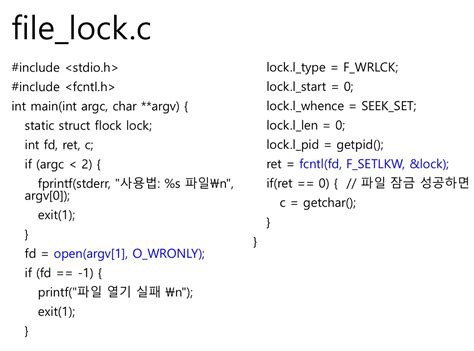 2024 1학기 리눅스프로그래밍 파일 및 레코드 잠금