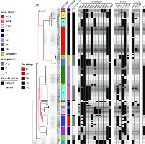 Phylogenetic Analysis Of The 142 Sheffield Hic Isolate Genomes A Download Scientific Diagram