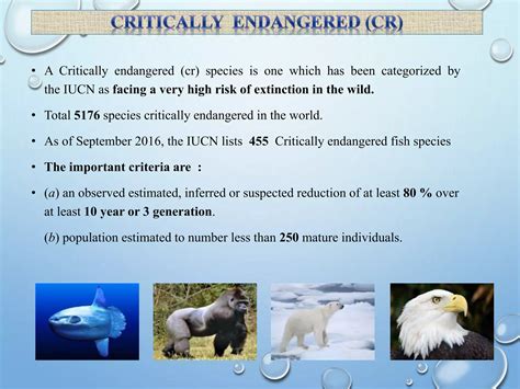 Iucn Pptx