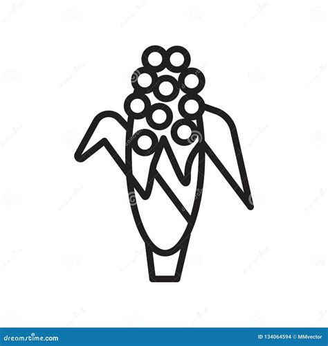 Corn Icon Vector Isolated On White Background Corn Sign Linear Symbol And Stroke Design
