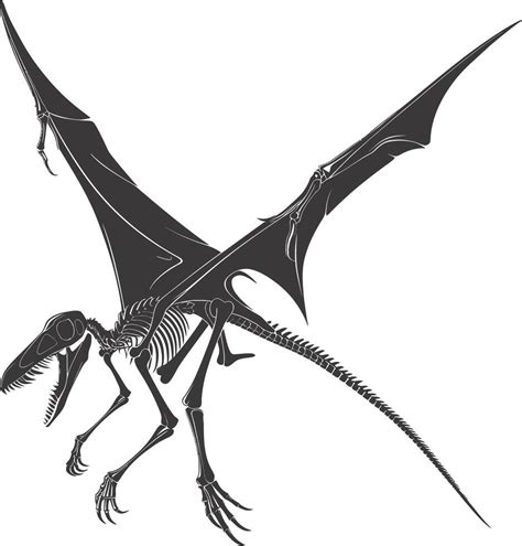 Ai Generated Silhouette Dinosaur Pterodactyl Skeleton Black Color Only