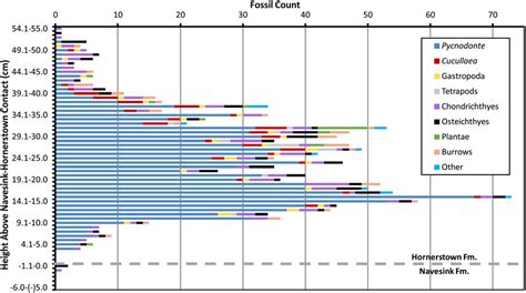 Frontiers Microstratigraphic Analysis Of Fossil Distribution In The