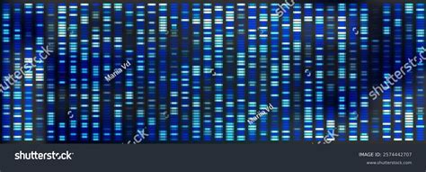 Genetic Chromosome Pattern Dna Sequence Map Stock Vector Royalty Free 2574442707 Shutterstock