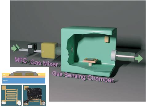 The Schematic Diagram Of The Gas Sensing Setup The Inset Shows The Download Scientific Diagram