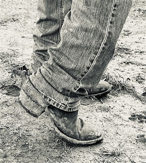 Eileen Crowe Portfolio Of Works