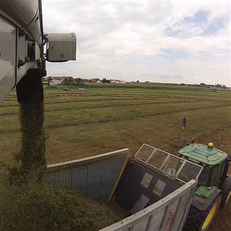 Daniel Löffler Youtube