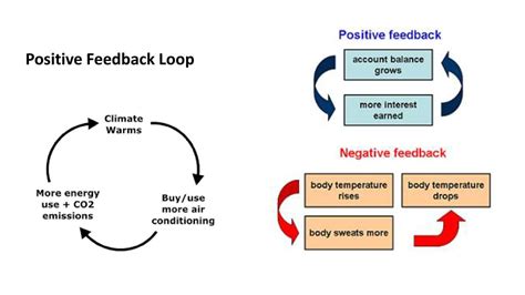 Feedback Loops Friday April Th Ppt Download