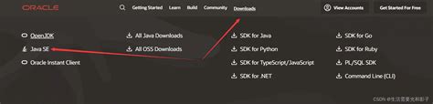 如何在oracle官网下载java的jdk最新版本和历史版本java Downloads Oracle Csdn博客
