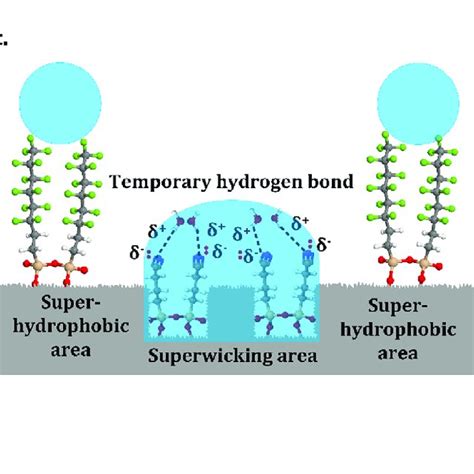 Surface Topography Of The Patterned Superwicking Superhydrophobic