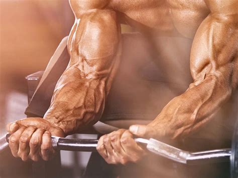 Are Forearms Important To Workout At Harrison Trethowan Blog