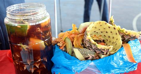 Eco Enzyme Cairan Fermentasi Sampah Organik Yang Miliki Manfaat Luar Biasa Lim Corporation