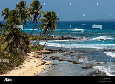 Wild Beaches In Big Corn Island Caribbean Sea Nicaragua Central