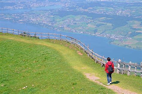스위스 융프라우 Vip 패스 Vs 스위스트래블패스 두피디아 여행기