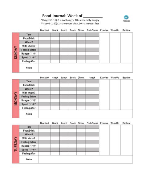 Food Journal Excel Template