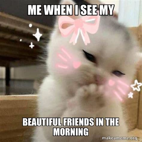 Me When I See My Beautiful Friends In The Morning Meme Generator