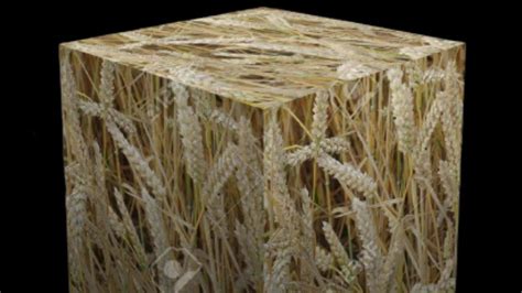 1 Bit 2 Bit 4 Bit 8 Bit 16 Bit 32 Bit 128 Bit 256 Bit 512 Bit 1024 Bit 2048 Bit 4096 Bit Wheat