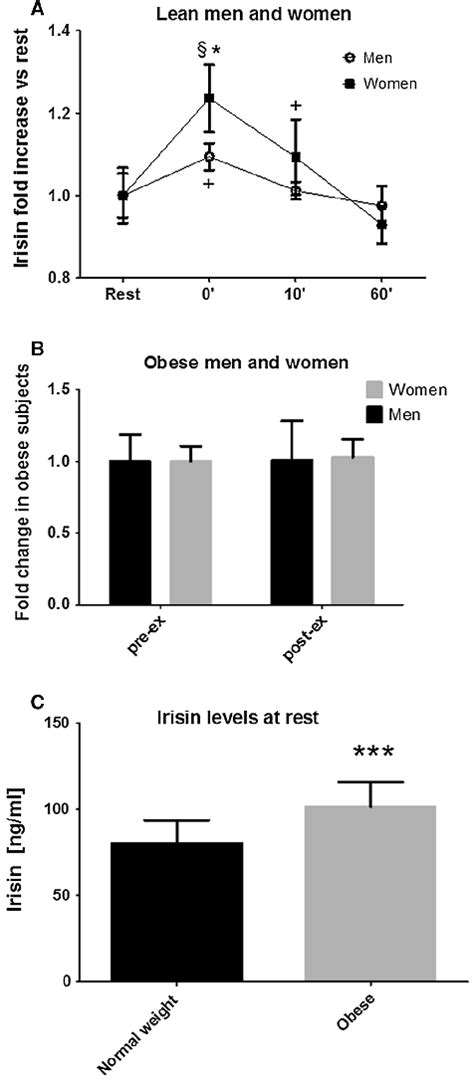 Effects Of Sex And Obesity On Resting And Exercise Induced Irisin Download Scientific Diagram