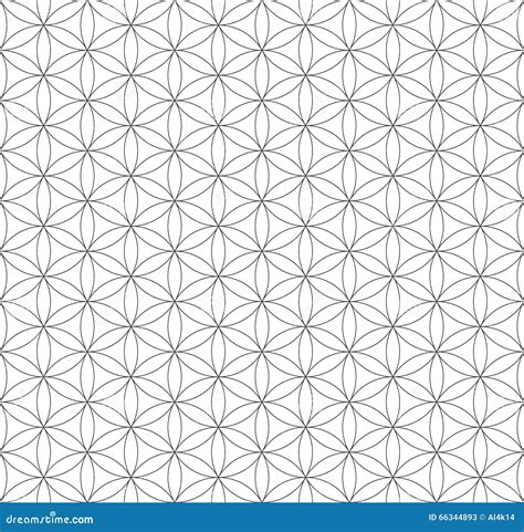 Black Outline Flower Of Life Sacred Geometry Pattern Cartoon Vector 66344893