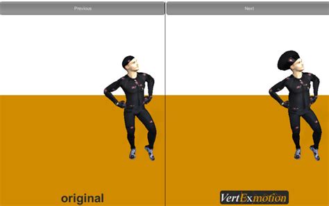 Vertexmotion Pro