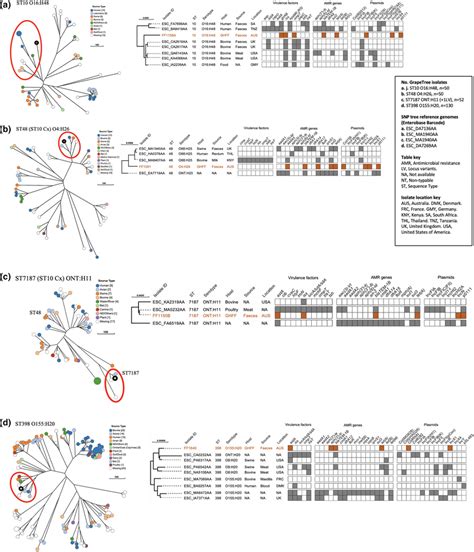 Phylogenetic And Metadata Analysis Of Amoxicillin Resistant E Coli