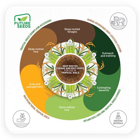 Home Carbon Sequestration