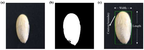 Automatic Evaluation Of Soybean Seed Traits Using Rgb Image Data And A Python Algorithm