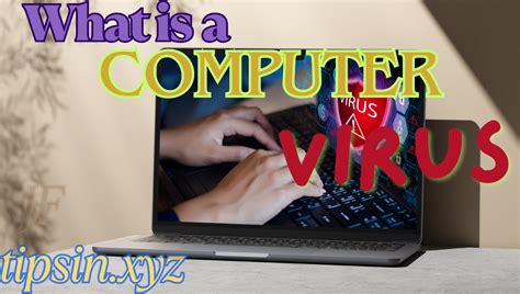 What Is A Computer Virus Tips Information