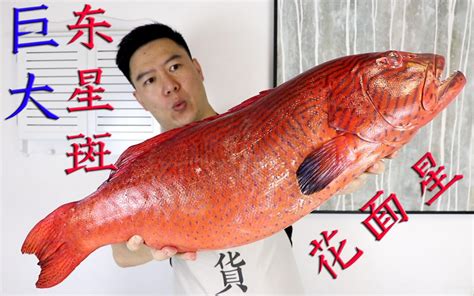 试吃画面东星斑鱼皮才是整条鱼的精华这钱花得值 哔哩哔哩