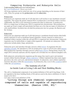 Prokaryotes Vs Eukaryotes Lab Worksheet