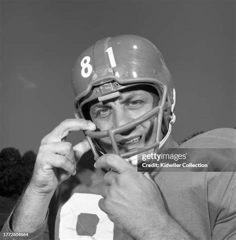 72 Andy Robustelli Photos And High Res Pictures Getty Images