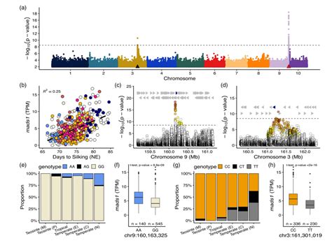 用rna Seq打开重测序样本，快速发掘性状关联基因？ 知乎
