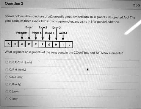 Question 3 2 Pts Shown Below Is The Structure Of A Drosophila