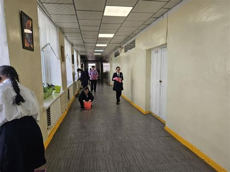 Нийслэл Нийслэлийн ерөнхий боловсролын 50 дугаар сургууль