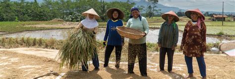 Gender Equality Disability And Social Inclusion In Practice Research