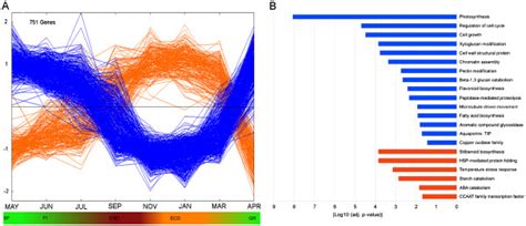 Top Scored Transcripts For Principal Component 1a Expression Profiles Download Scientific