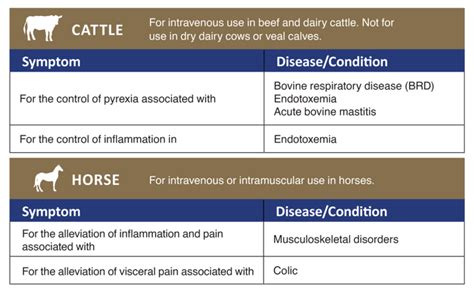 Flunixin Injection Flunixin Meglumine Injection Norbrook