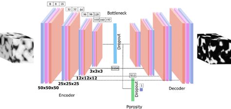 Network Architecture With 12 Convolutional Layers Bottleneck And 12 Download Scientific