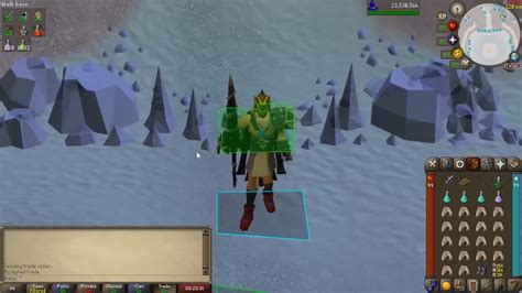 Vorkath Object Detection Dataset And Pre Trained Model By Bot