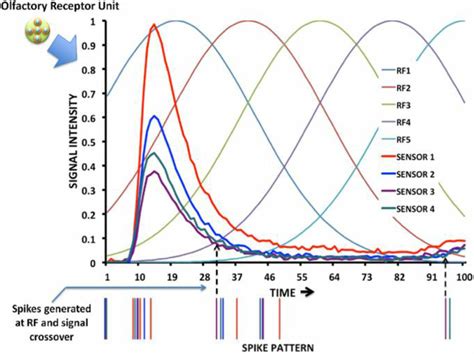 Encoding A Sample Sensor Response Into A Spike Pattern In 2015 106